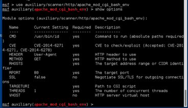 [Challenge 3:] Bash Remote Code Execution · Pentest Report - ECSA